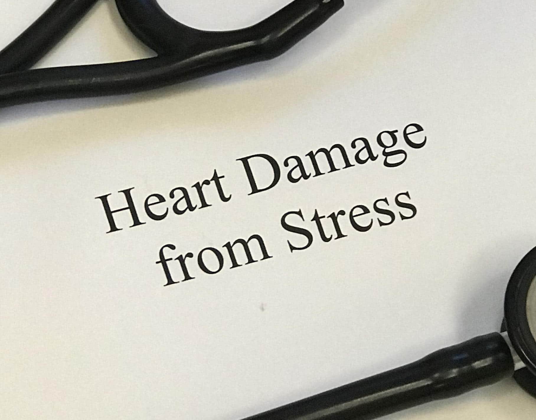 Intense Stress Can Damage the Heart: Takotsubo Syndrome – Nemechek ...